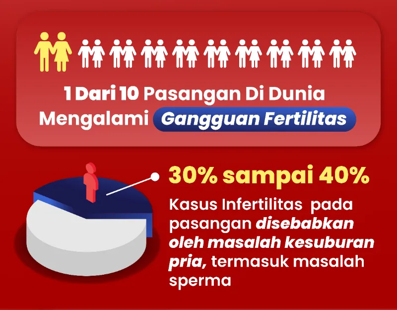 Stebido – Solusi Promil Alami